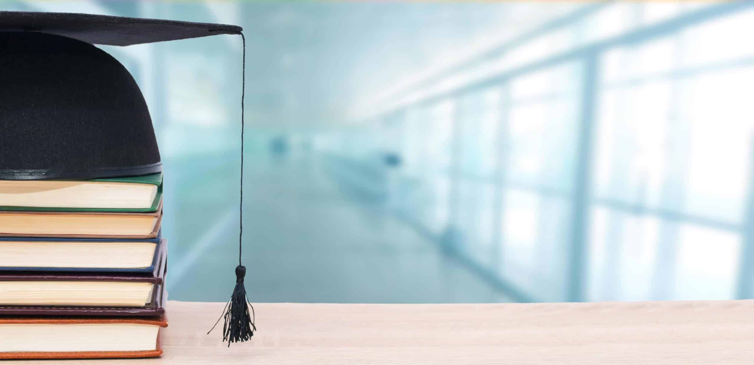 The Boy, The Mole, The Fox & The Horse Book Is The Perfect Graduation Gift